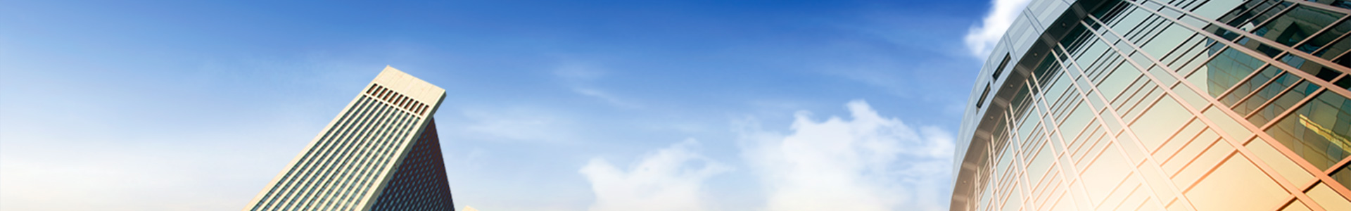 profile-Guangdong New Electronics Information Import and Export Ltd.